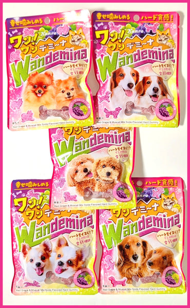 Kanro WANdemina Dog-Shaped Hard Gummy - Grape Soda Mix | napaJapan
